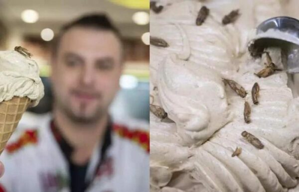 Aiskrim cengkerik manisan masa hadapan - Kosmo Digital