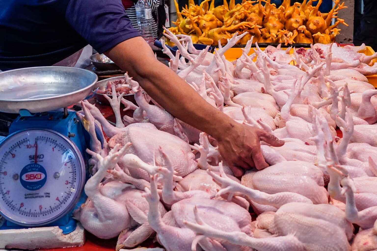 Subsidi, kawalan harga ayam dan telur diteruskan mulai 1 Julai - Kosmo Digital