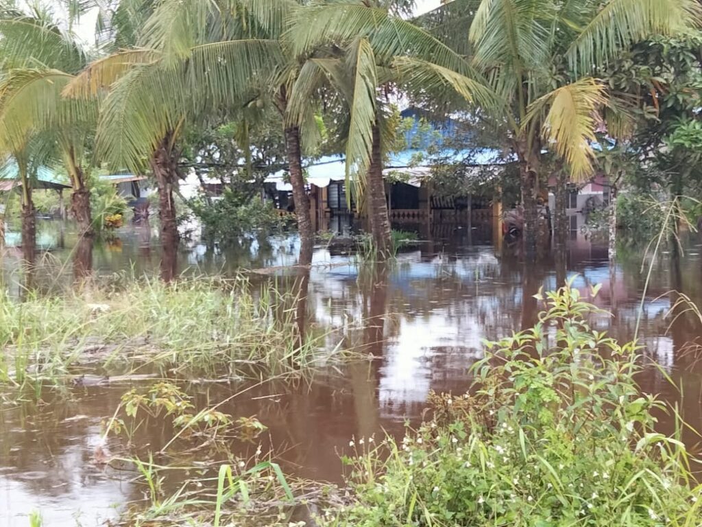 Banjir: Hanya sempat bawa beberapa pakaian, dokumen penting - Kosmo Digital