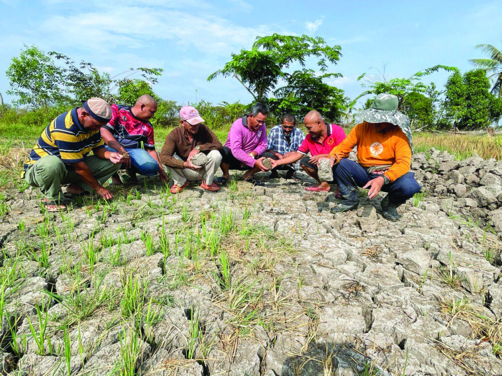 Pesawah rugi RM1 juta, tanah kering-kontang akibat kemarau - Kosmo Digital