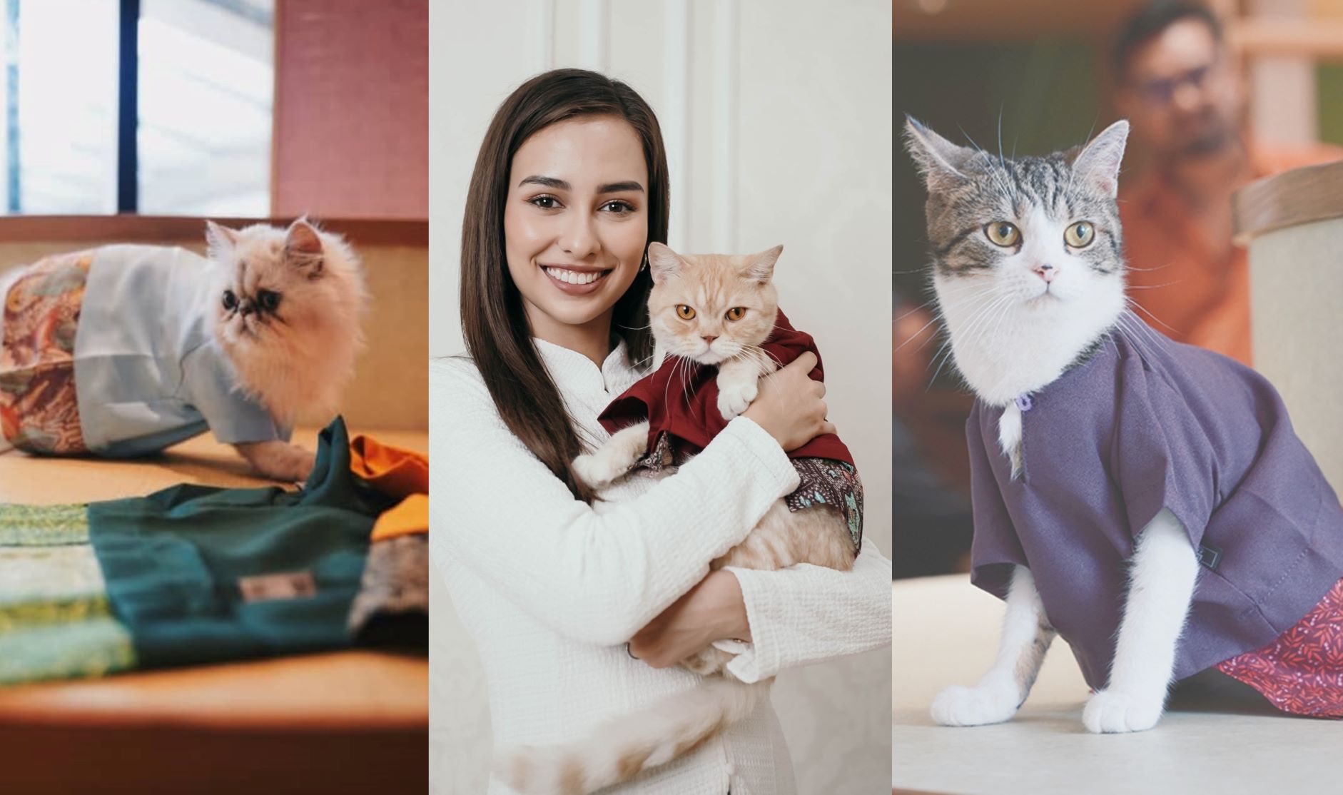 Baju raya kucing ceriakan lebaran pencinta si bulus - Kosmo Digital