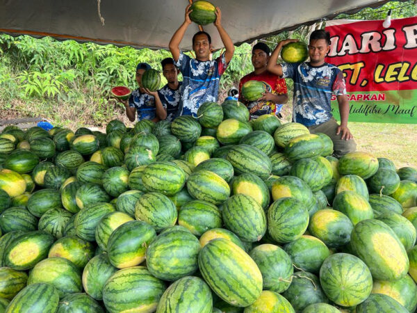 Peniaga untung besar jual 24 tan tembikai setiap hari - Kosmo Digital