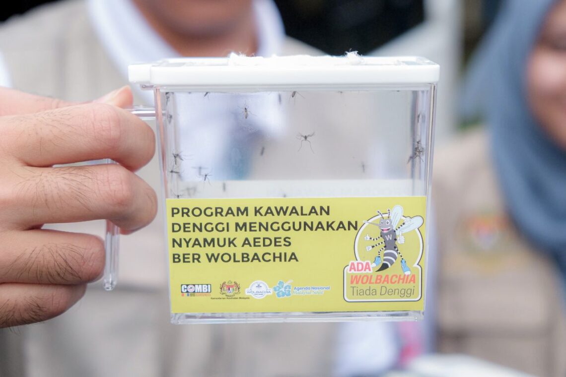Pelepasan nyamuk Wolbachia dibuat di seluruh negara - Kosmo Digital