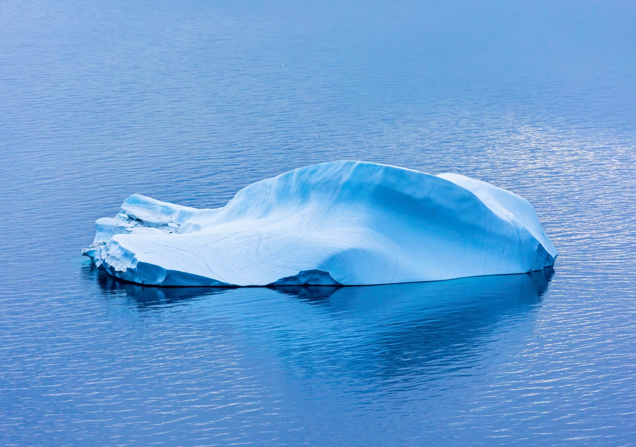 ais lautan artik Archives - Kosmo Digital