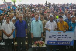 Peruntukan RM3 bilion untuk projek tanam padi lima musim - Kosmo Digital