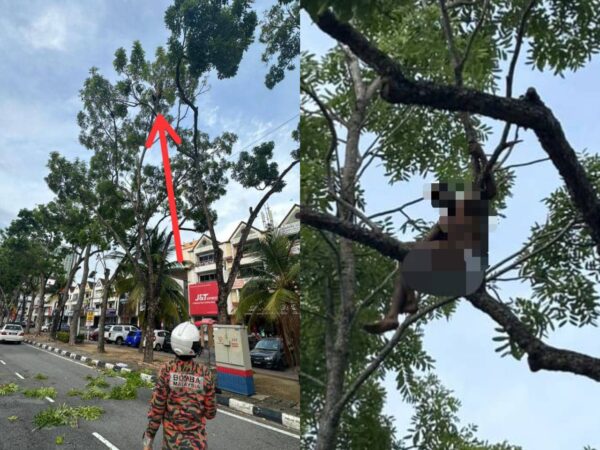 Darling Ngasri dapat Pingat Setia Bomba - Kosmo Digital