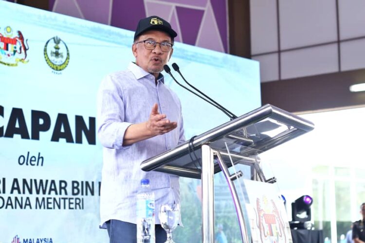 Kadar subsidi padi naik RM500 mulai esok - Anwar - Kosmo Digital
