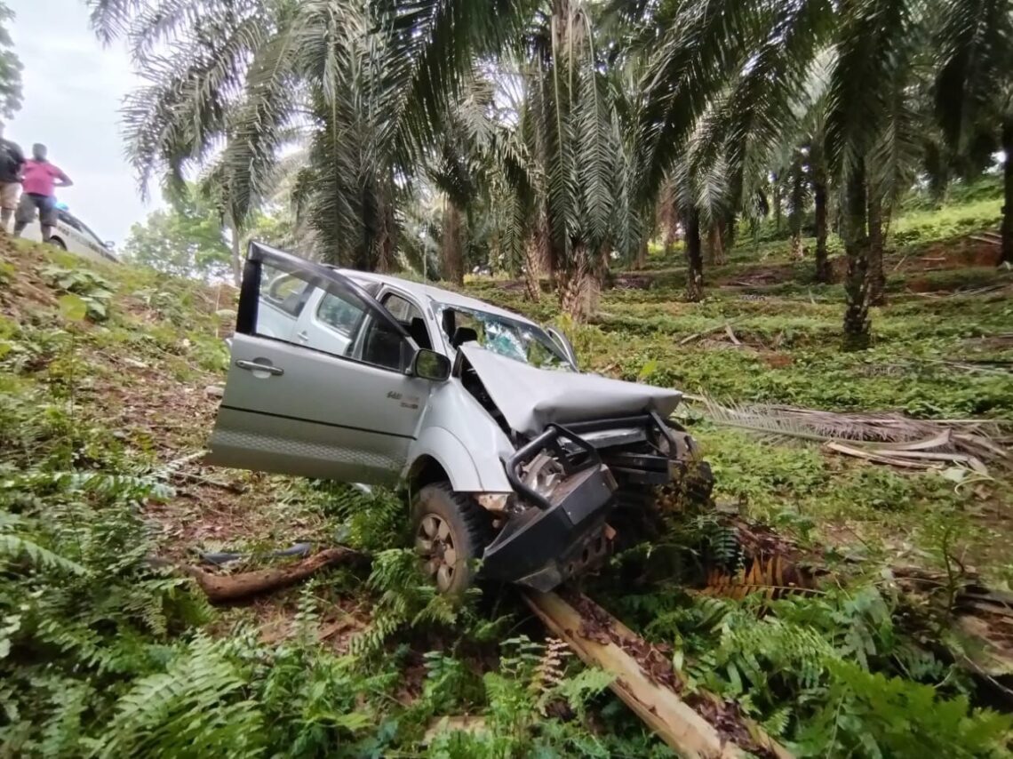 Pengurus ladang maut, trak pikap rempuh pokok kelapa sawit - Kosmo Digital