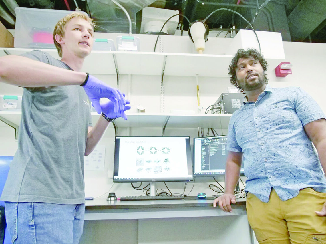 Inovasi robot kecil untuk misi bencana - Kosmo Digital