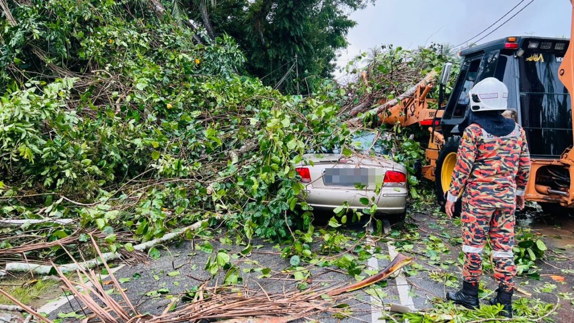 Warga emas maut kereta dihempap pokok tumbang - Kosmo Digital