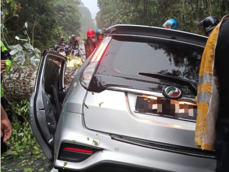 [VIDEO] Wanita maut, kereta dihempap pokok di Sungai Tua - Kosmo Digital