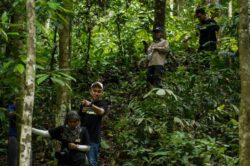 Perak tambah saiz Hutan Simpanan Kekal, tertinggi di semenanjung ...