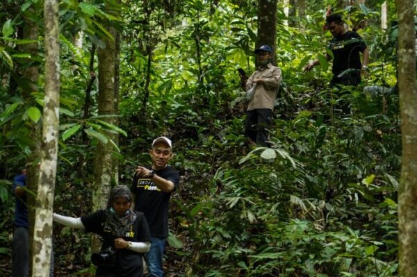 Perak tambah saiz Hutan Simpanan Kekal, tertinggi di semenanjung ...