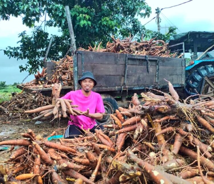 Dapat RM6,000 sehari jual ubi kayu - Kosmo Digital