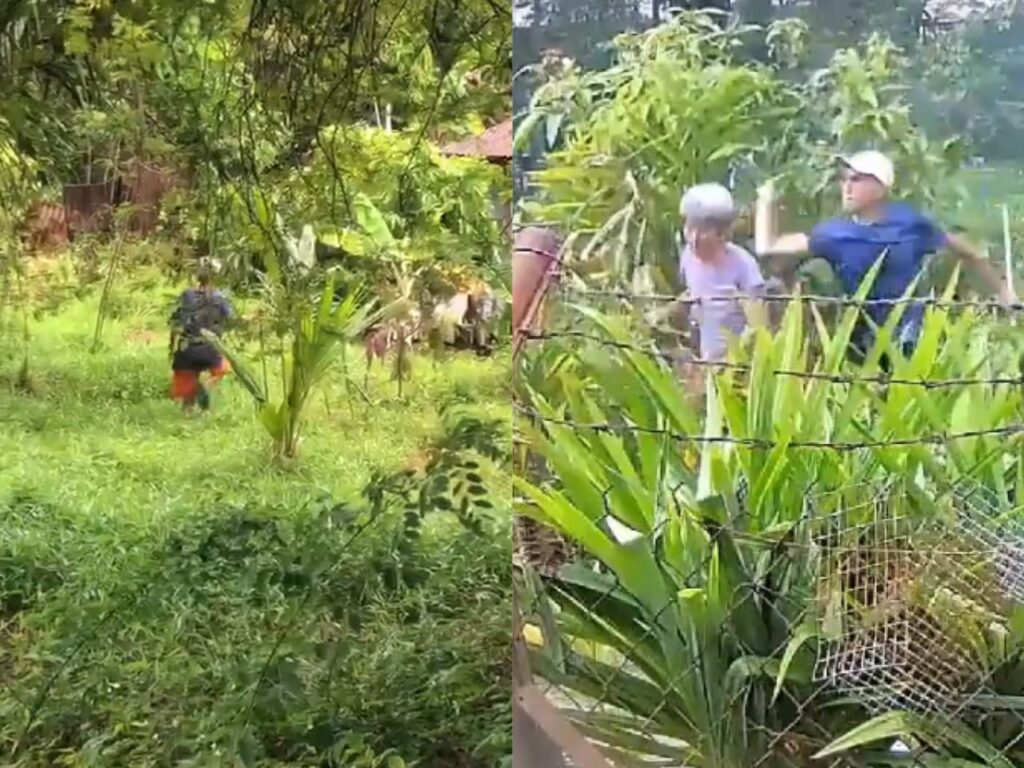 Lelaki tular tumbuk warga emas rayu jaminan rendah kerana OKU - Kosmo ...