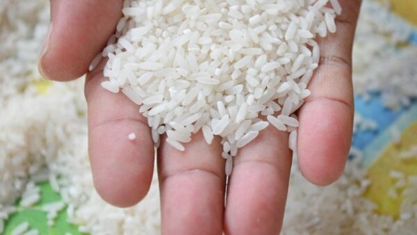 Bekalan beras negara stabil, mampu tampung lebih 5 bulan - Kosmo Digital