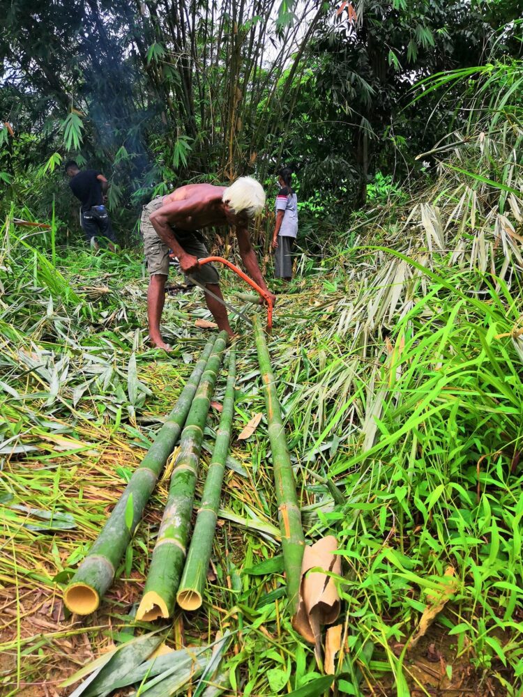 Rezeki berlipat ganda pembekal buluh lemang - Kosmo Digital