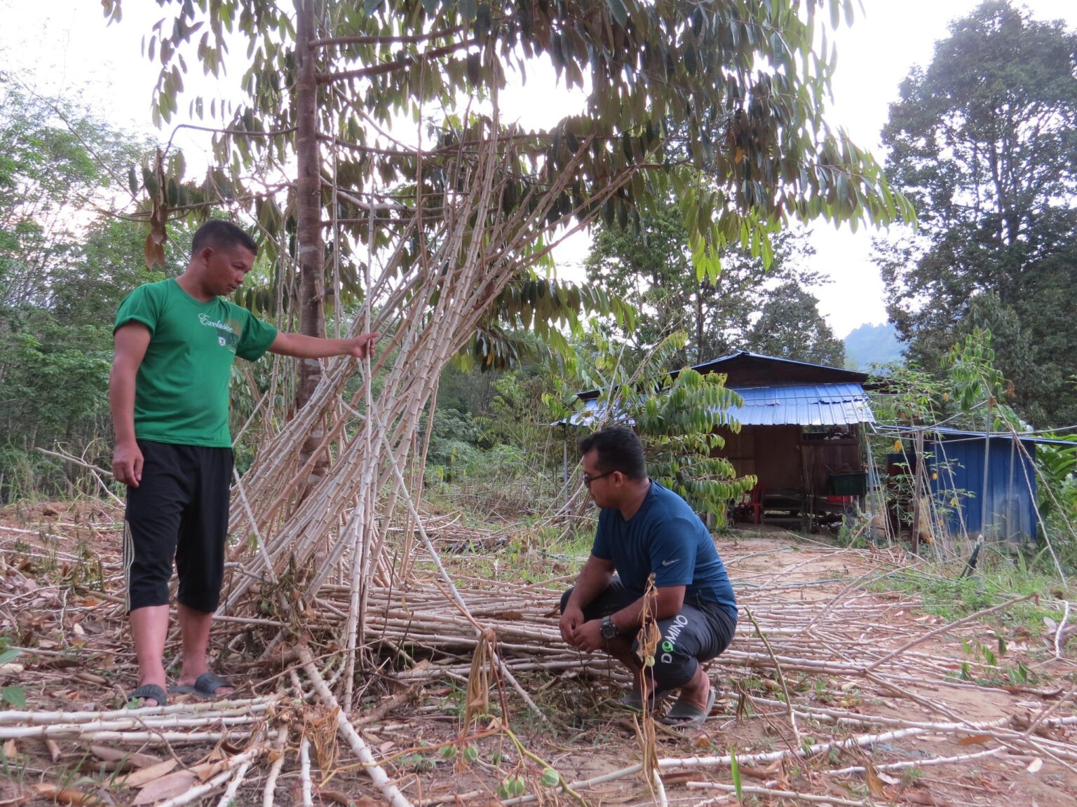 Orang Asli Pos Brooke 'penat' diganggu gajah liar - Kosmo Digital
