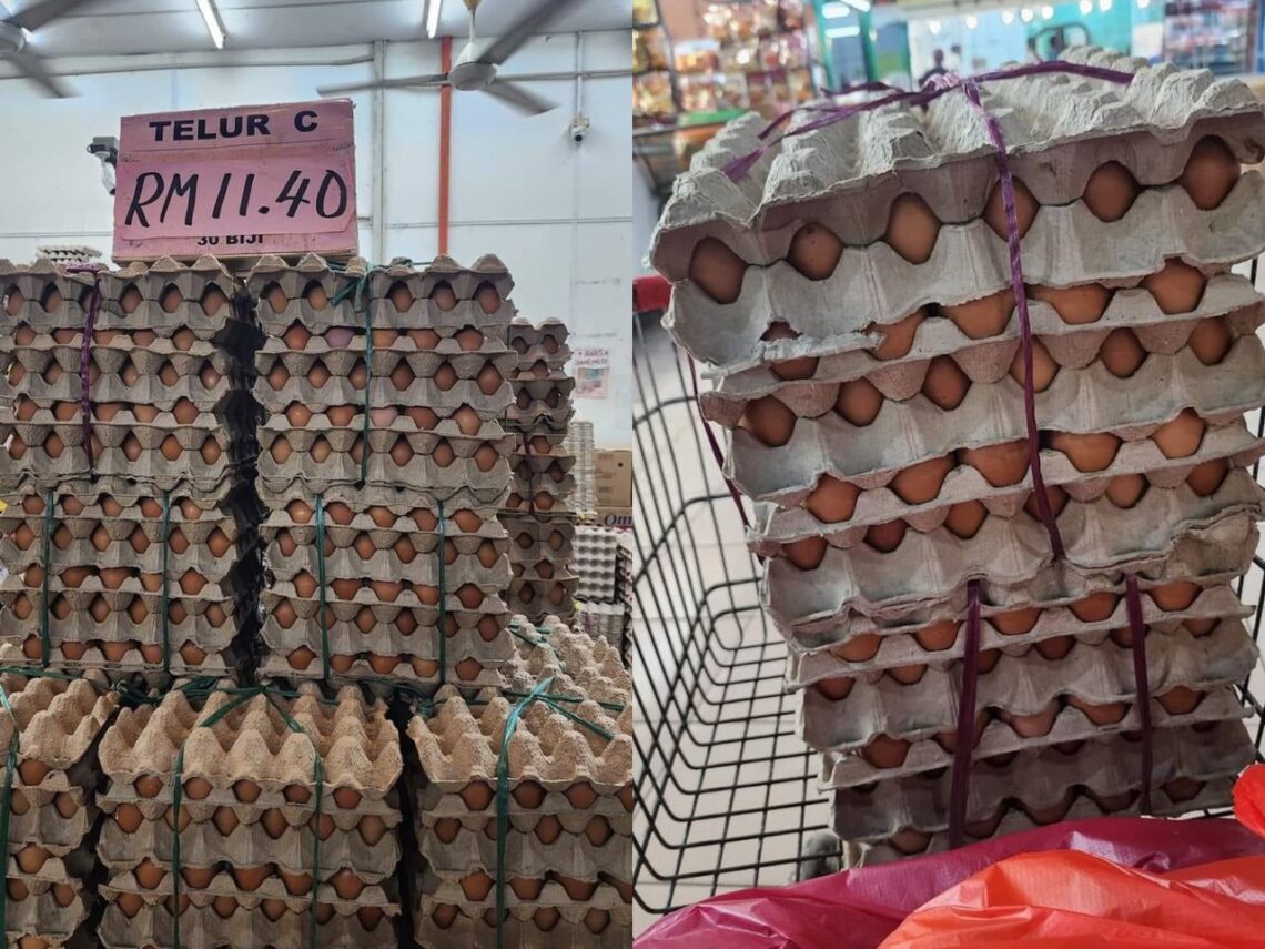 Harga telur turun 3 sen sebiji, peniaga jimat RM500 sebulan - Kosmo Digital