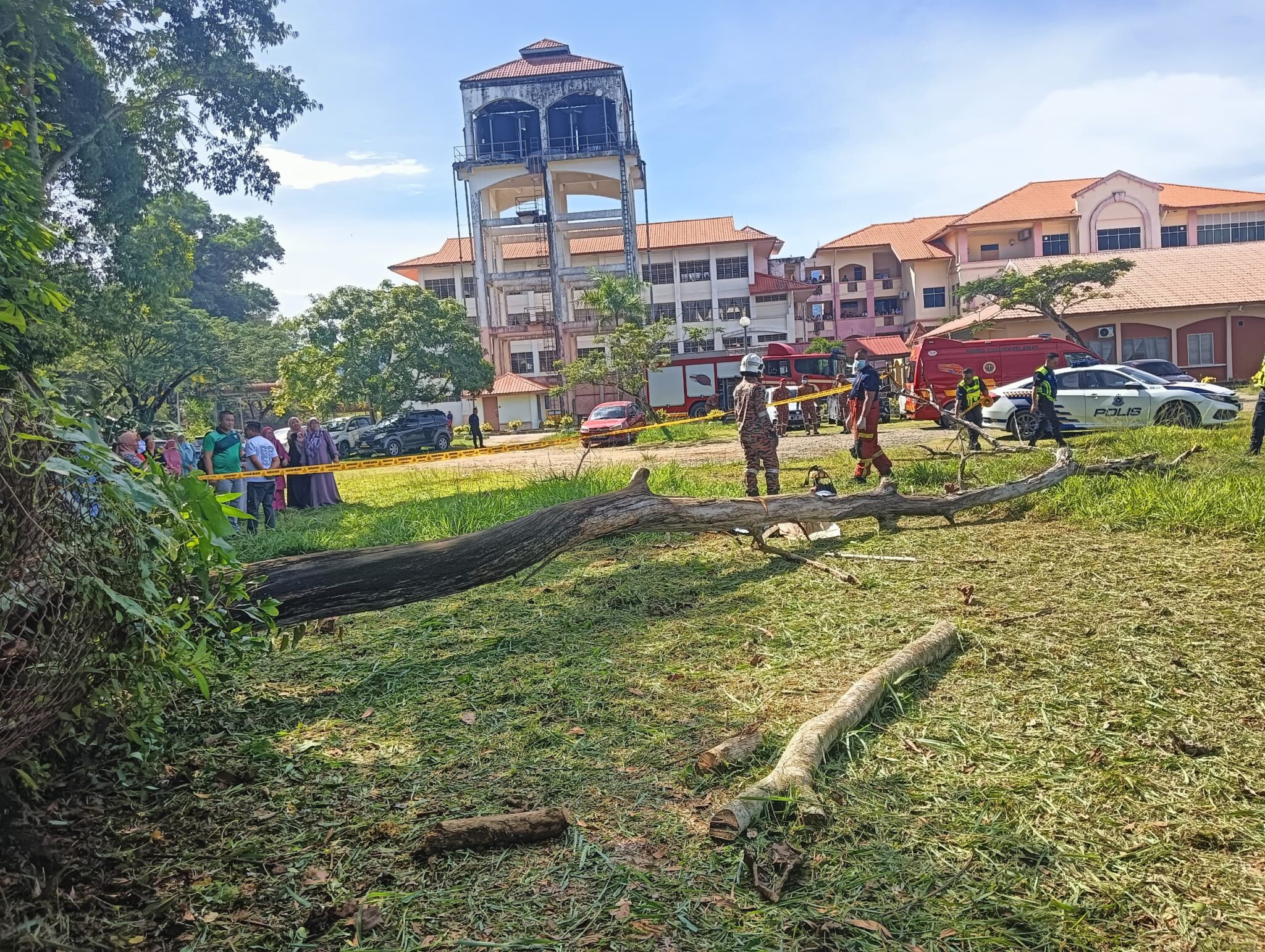 Pekerja pembersihan maut dihempap pokok tumbang - Kosmo Digital