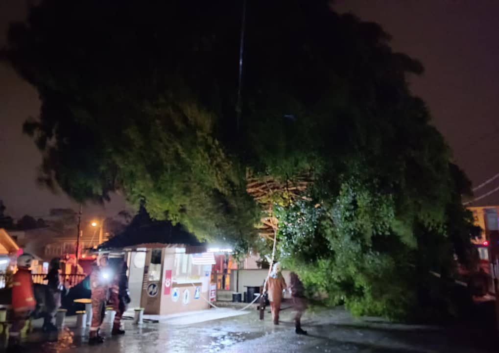 ‘Pak guard’ sekolah cemas, pokok tumbang hempap pondok pengawal - Kosmo ...