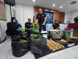 Tauke 'cakoroi' kebal, dicekup kali ketujuh - Kosmo Digital