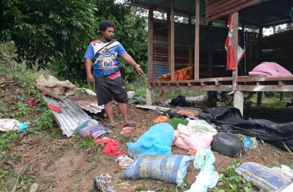 Gajah mengamuk lagi, lima rumah ranap - Kosmo Digital