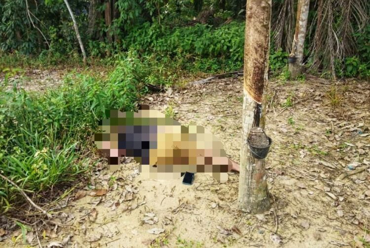 Jumpa mayat tertiarap dalam ladang getah - Kosmo Digital