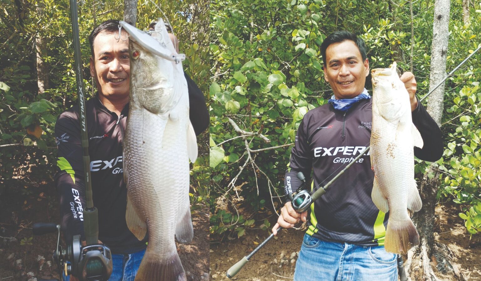 Menebing siakap putih di Pekan, Pahang - Kosmo Digital