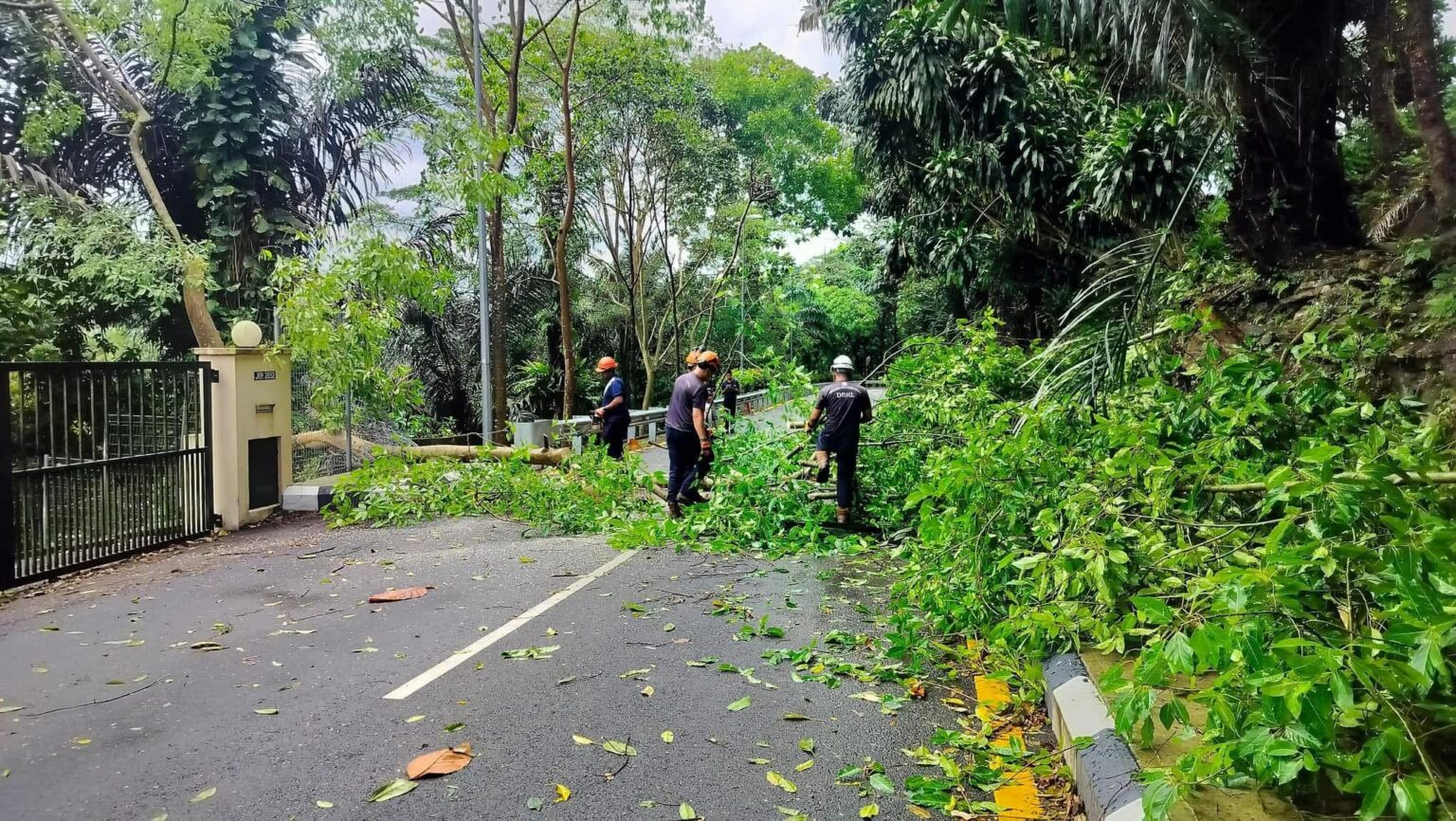Pokok tumbang di 16 lokasi sekitar ibu negara - Kosmo Digital