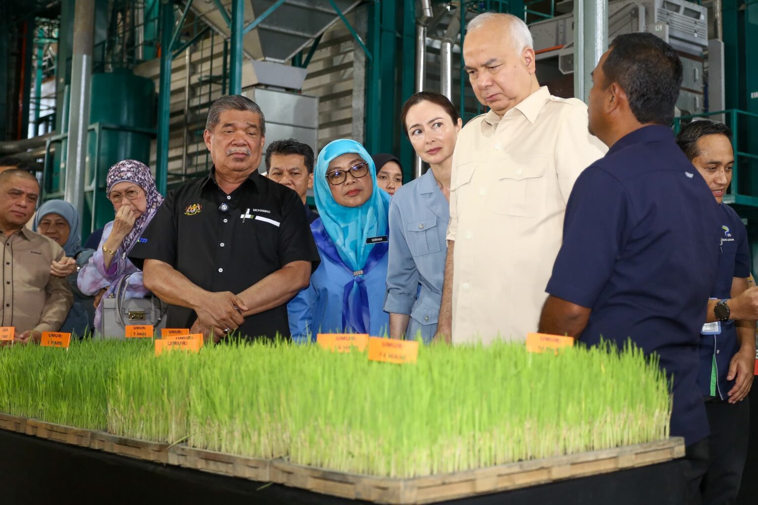 Kuasa tiga badan kawal selia padi beras diasingkan - Kosmo Digital