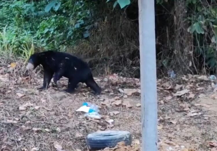 Sembilan elemen ‘penyeri’ identiti N. Sembilan - Kosmo Digital