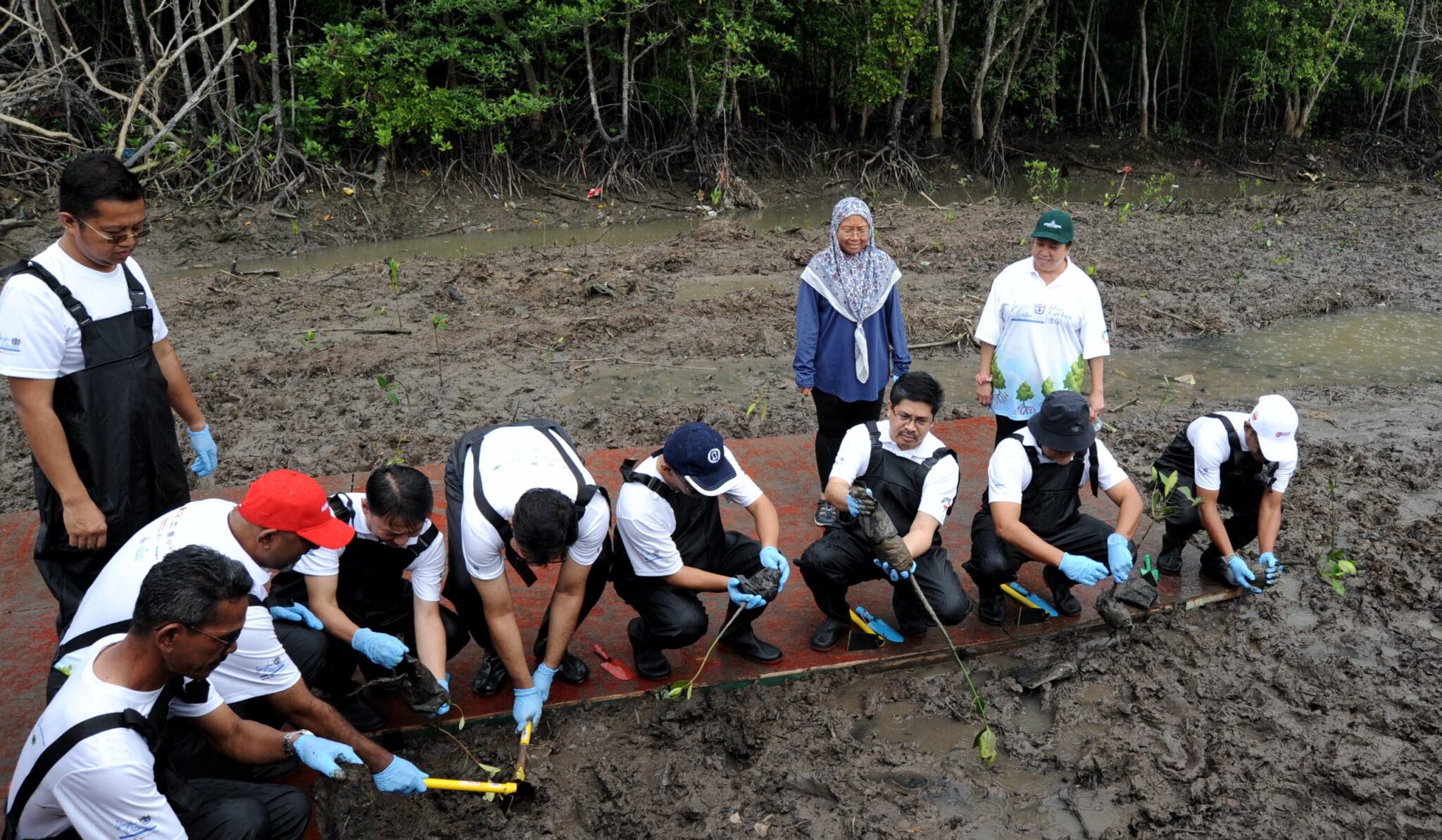 MBIP laksana inisiatif Iskandar Puteri Blue Carbon - Kosmo Digital