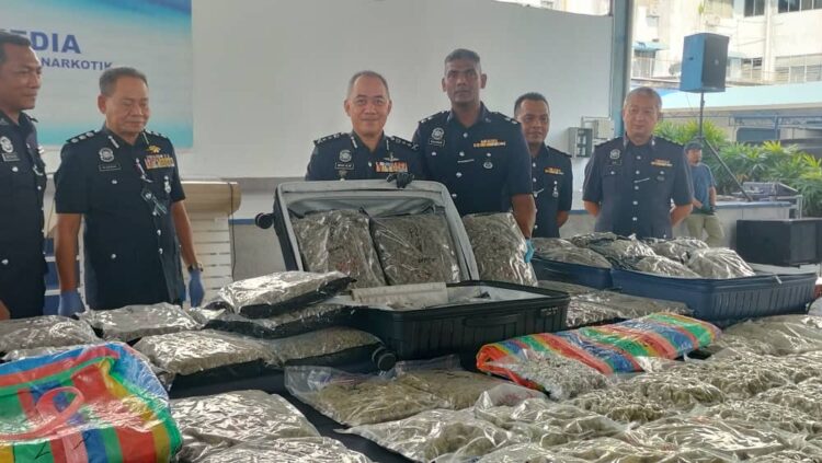 Inap desa jadi 'port' simpan bunga ganja RM3.72 juta - Kosmo Digital
