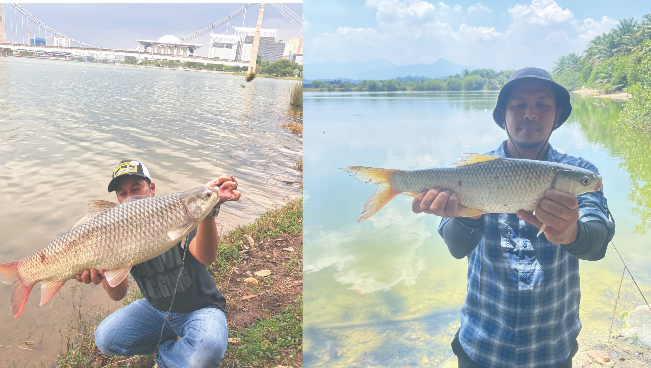 Tongsan susu ikan pemecut di tasik dan lombong - Kosmo Digital