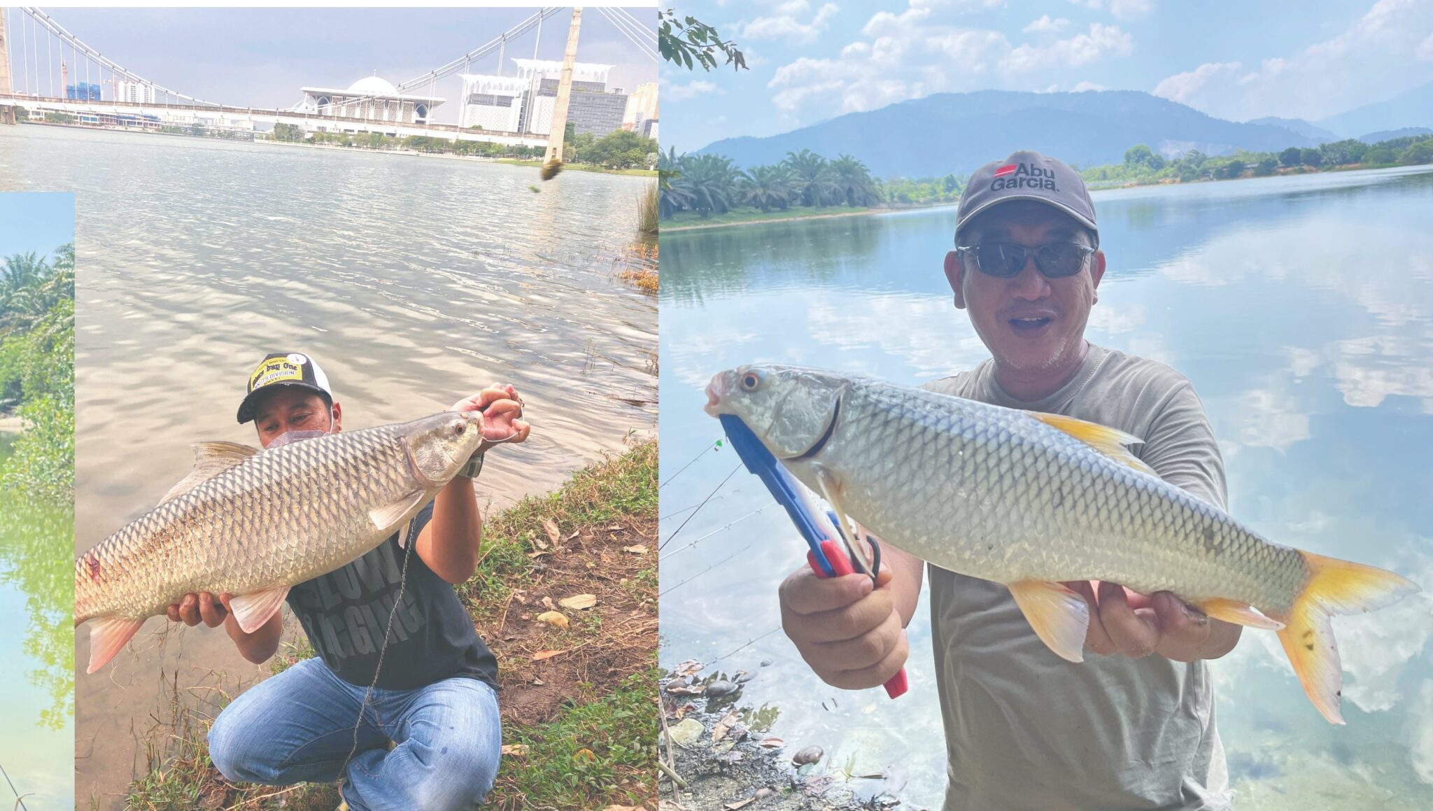 Tongsan susu ikan pemecut di tasik dan lombong - Kosmo Digital