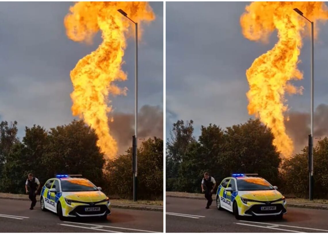 Dunia - Kosmo Digital