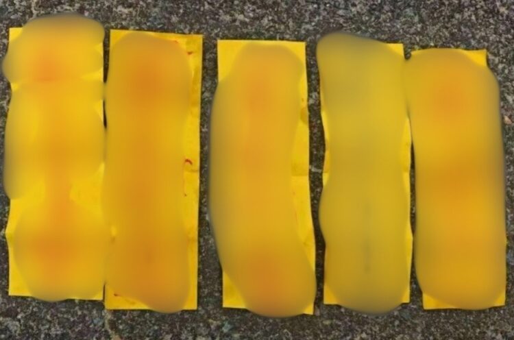 Kelab bola sepak 'kantoi' pakai hantu kalahkan lawan - Kosmo Digital