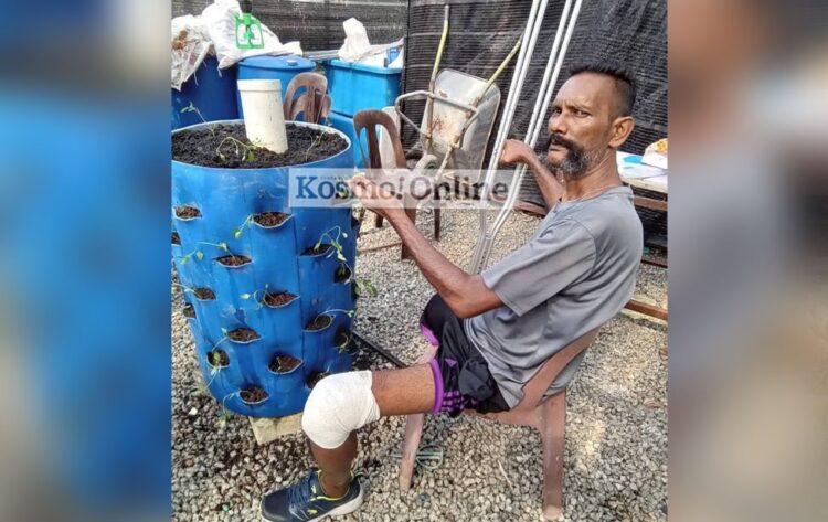 Kudung sebelah kaki tidak halang minat bertani - Kosmo Digital