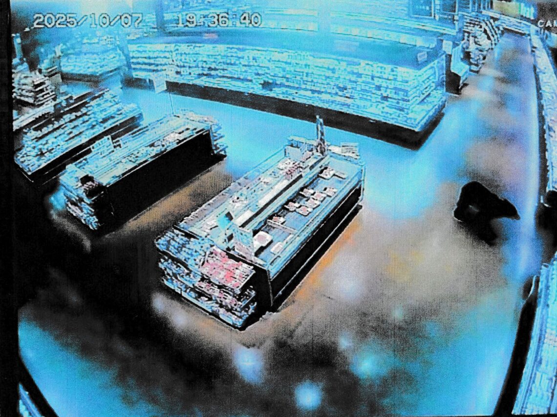 UMT tanam pokok gelam demi kelestarian alam - Kosmo Digital