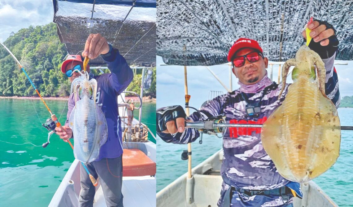 Mencandat sotong mengabang di Utara tanah air - Kosmo Digital