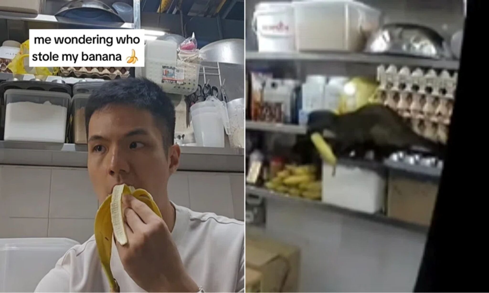 Haiwan misteri curi pisang di kedai - Kosmo Digital