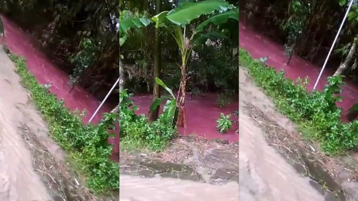 Penduduk gempar lihat air banjir warna merah jambu - Kosmo Digital