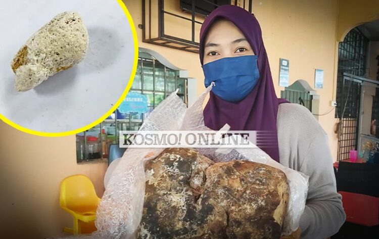 Ingat betul muntah paus sebab harum selepas dibakar - Kosmo Digital