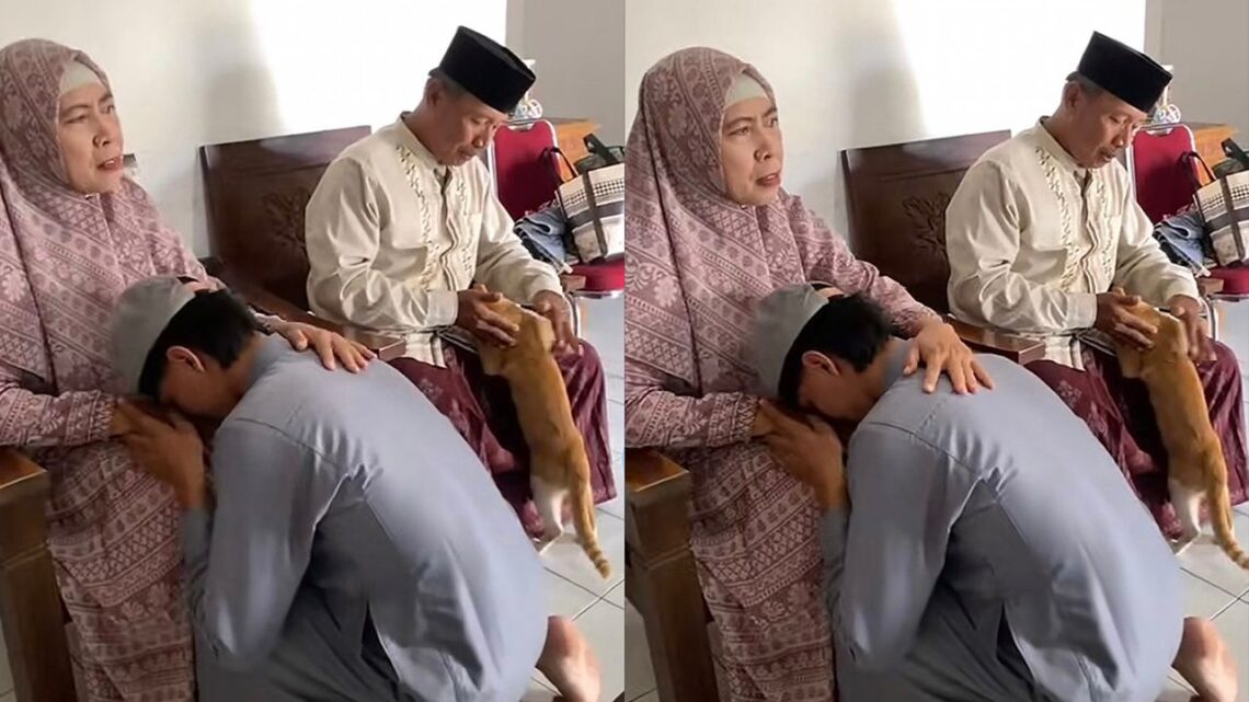 Kucing pula ‘sibuk’ nak salam raya - Kosmo Digital