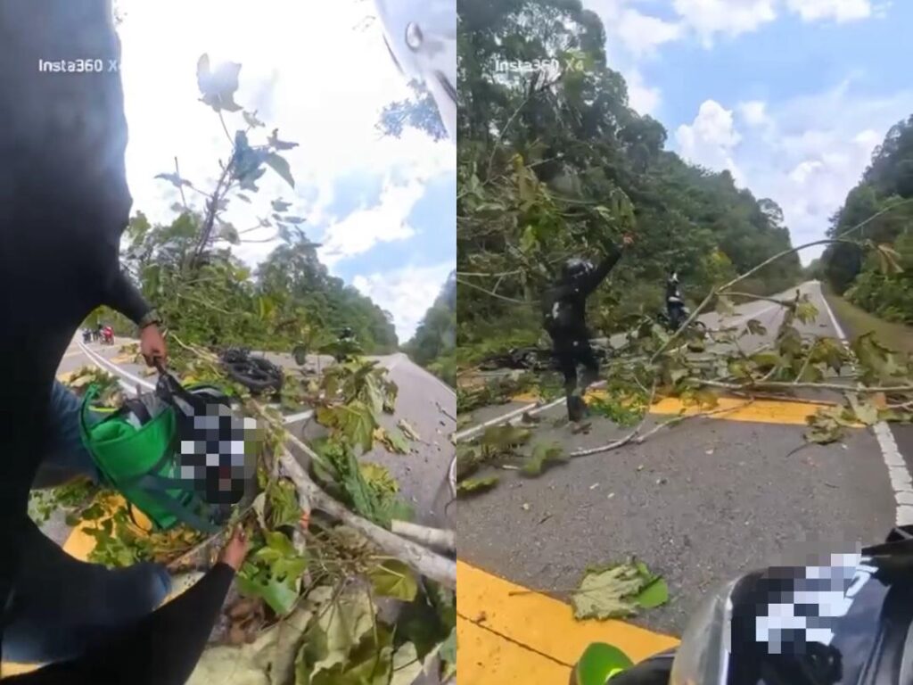 [VIDEO] Nasib baik penunggang motor tidak kena hempap pokok - Kosmo Digital