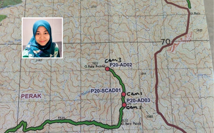 Imej Jaslinda dikesan kamera hidupan liar Perhilitan - Kosmo Digital