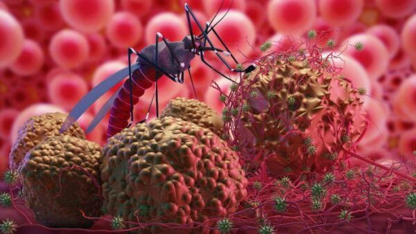 Ancaman jangkitan malaria, masyarakat jangan alpa - Kosmo Digital