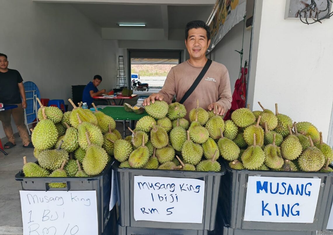 Jual longgok, musang king 'jatuh' takhta - Kosmo Digital