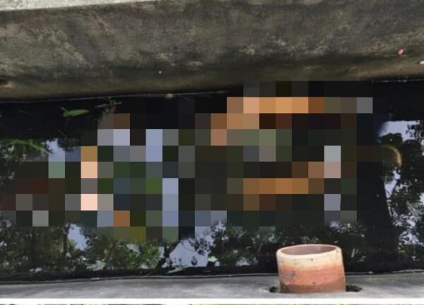 Tongkat bawa penemuan mayat dalam longkang - Kosmo Digital